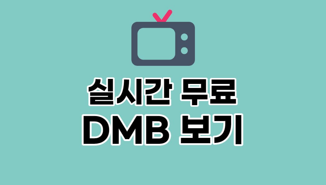 DMB 시청 방법 2가지
