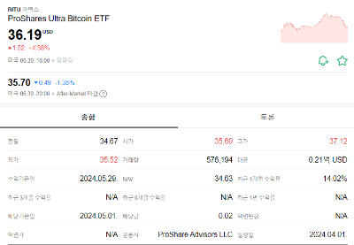 BITU ETF: 비트코인 2배 레버리지 투자, 주가 전망, 배당, 수수료 완벽 분석
