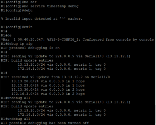 RIPv2 설정 및 특징