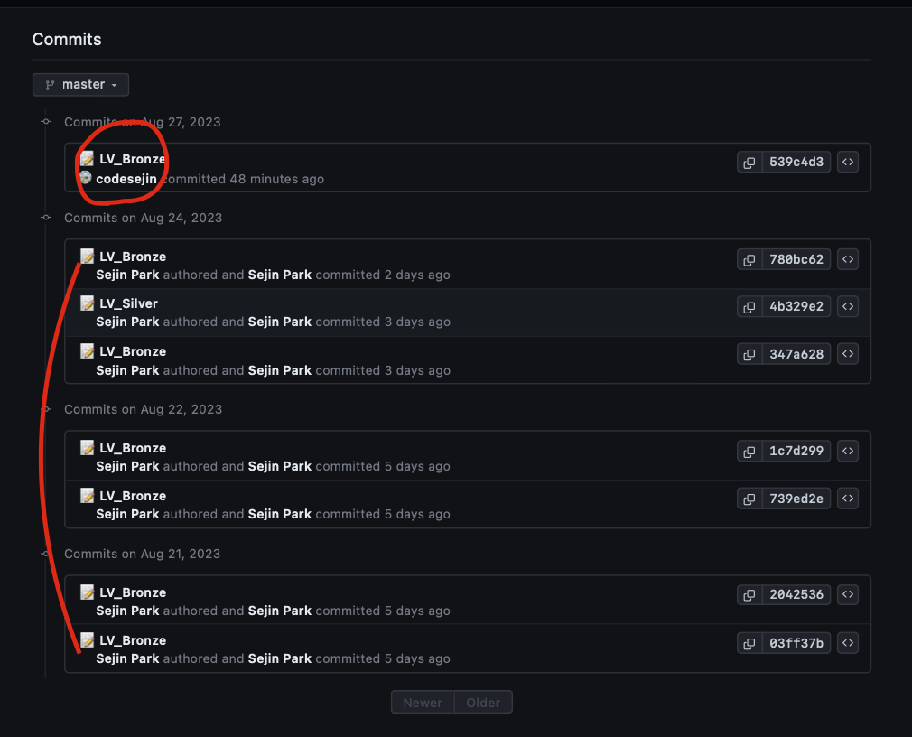 GitHub 잔디 안심어지는 오류 해결 방법 - git filter-branch
