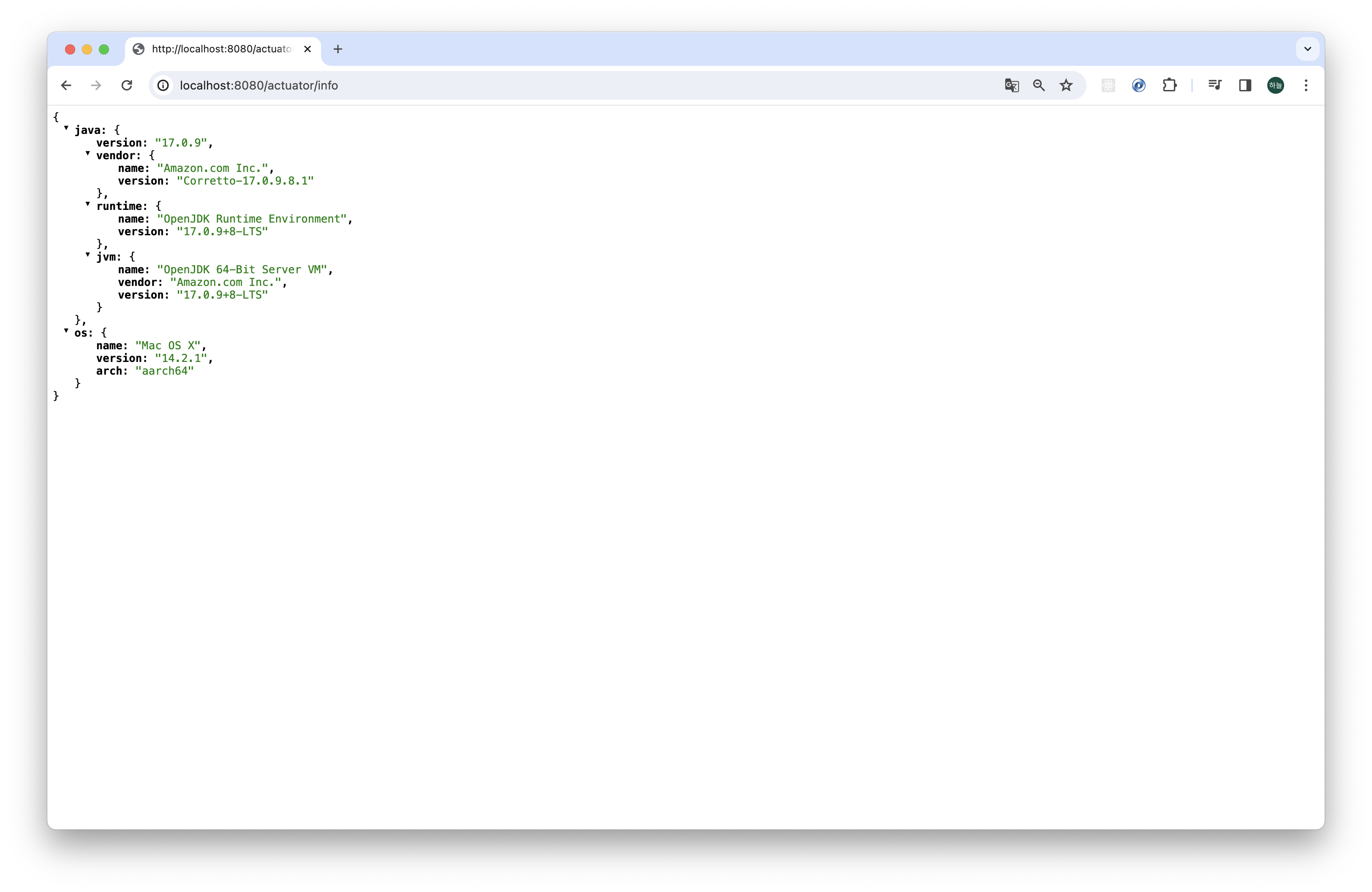 Springboot 액츄에이터 Info 엔드포인트