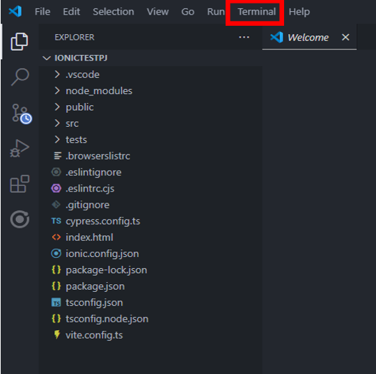 Visual Studio Code에서 Ionic 사용하기 with Vue.js