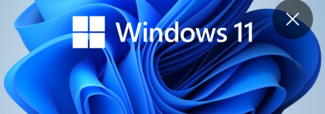 win 11 깔지 않은 이유