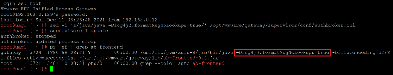 VMware Log4j Workaround :: B급 찍사