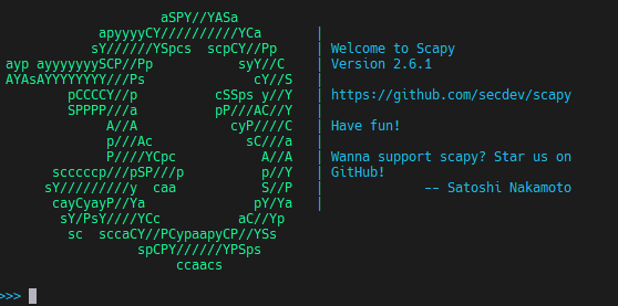 윈도우에서 Scapy 설치 및 패킷 생성하기