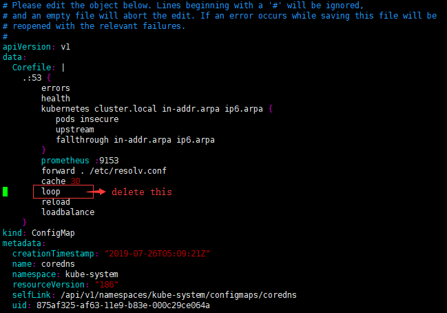 CoreDNS pod의 CrashLoopBackOff 상태 해결법
