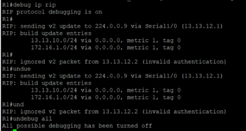 RIPv2 설정 및 특징