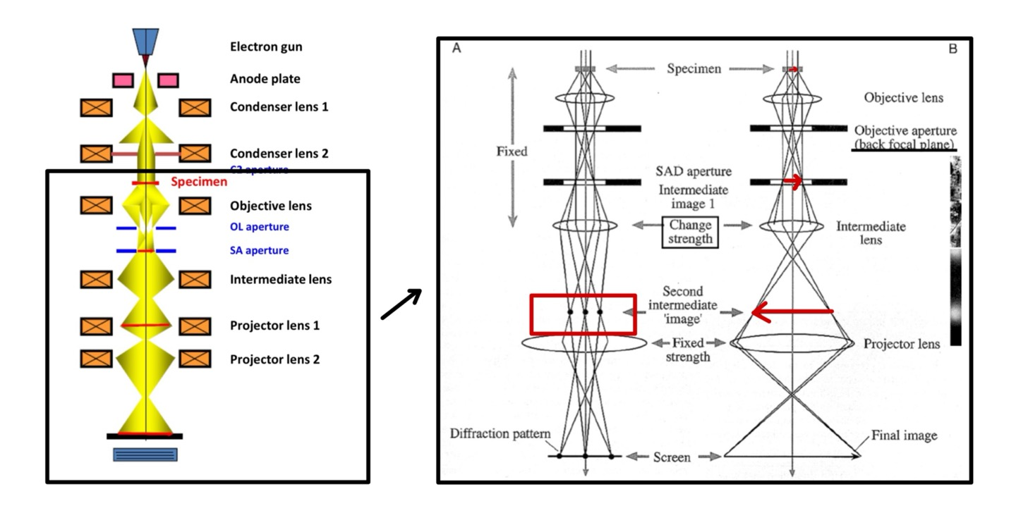 SAED diffraction 해석 1