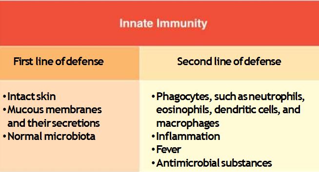 Innate Immunity
