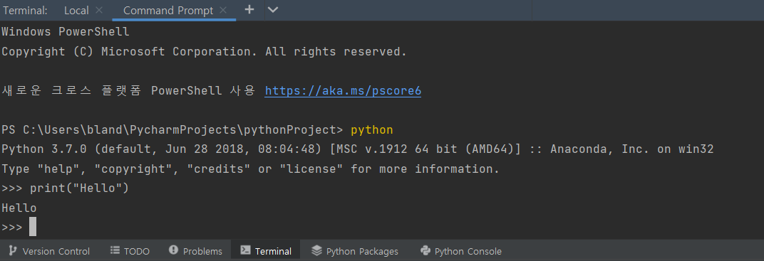 파이썬(Python) "PRN 장치를 초기화할 수 없습니다." 해결 방법