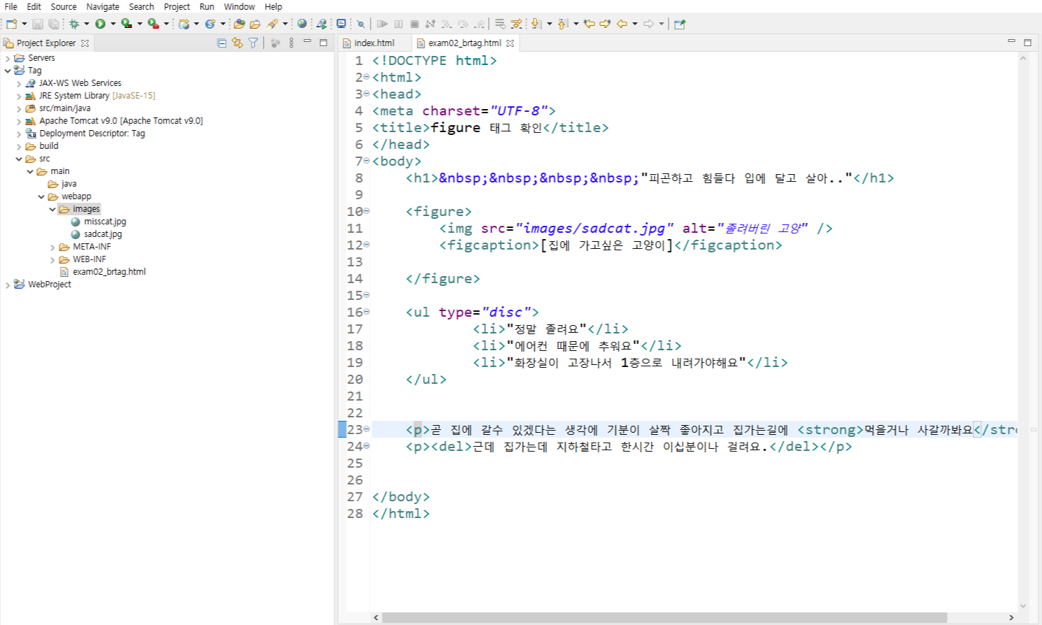 [HTML5]웹페이지 기본 태그 활용하기