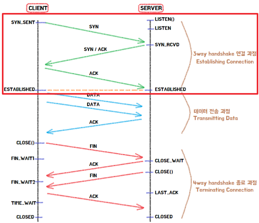 [CS] TCP vs UDP