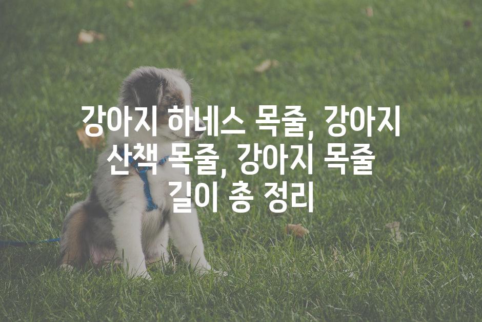강아지 하네스 목줄, 강아지 산책 목줄, 강아지 목줄 길이 총 정리
