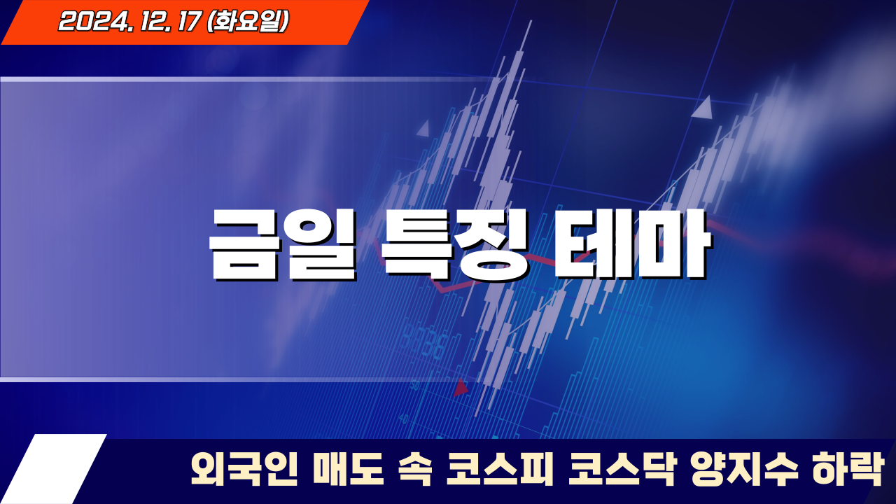 2024. 12. 17(화) 주식 특징 테마