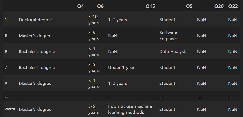 공공 데이터 분석 프로젝트 (커피 전문점) / Kaggle survey EDA