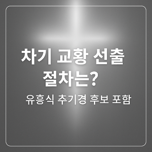 교황 선출 절차 총정리|프란치스코 교황 선종 이후 차기 교황은 누구 유흥식 추기경 포함