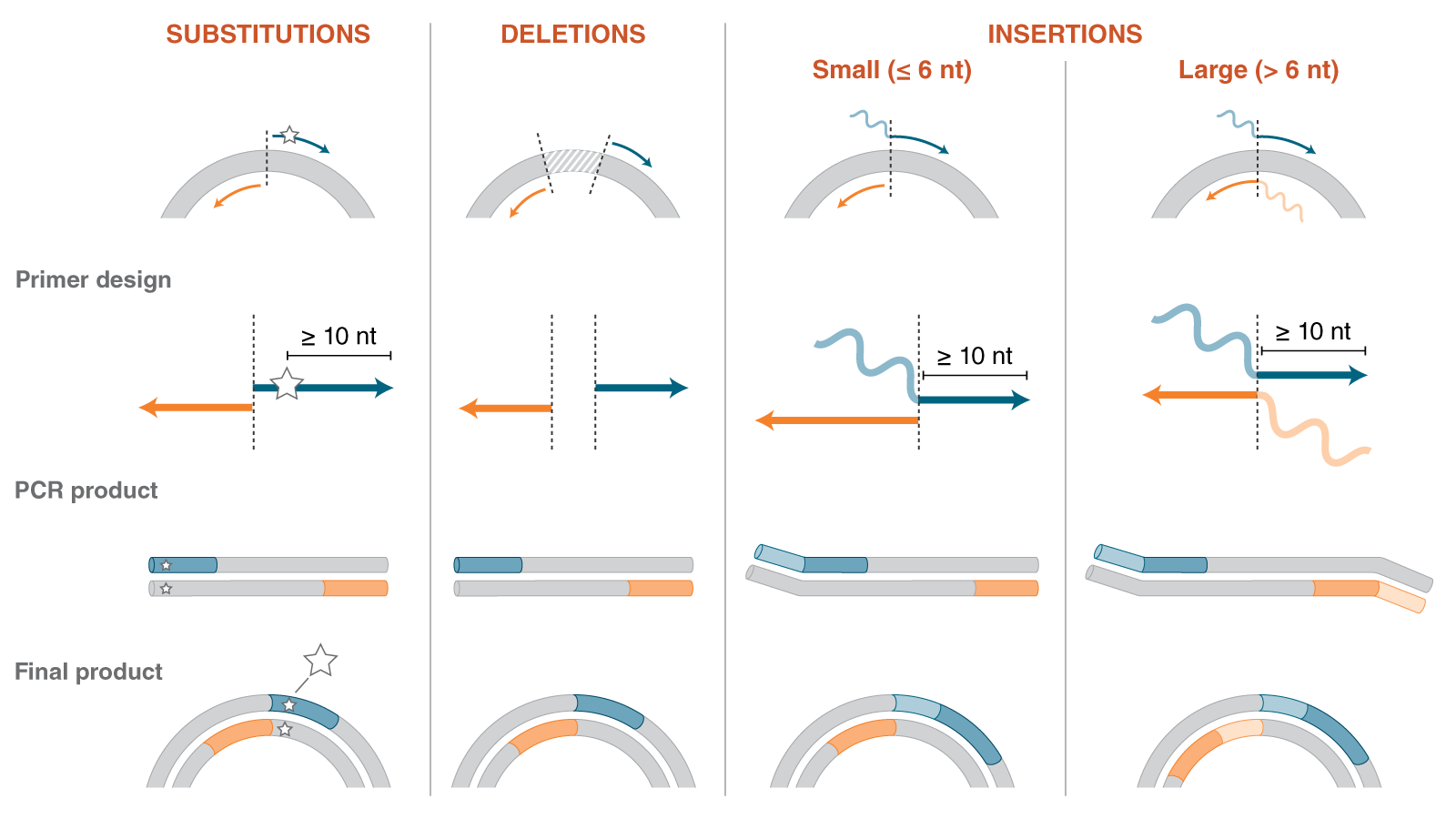 Q5 Site-Directed Mutagenesis 완벽 가이드