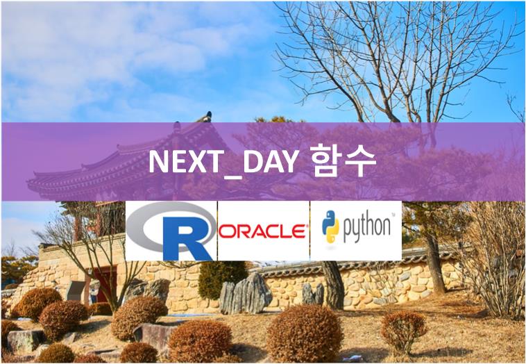 NEXT_DAY 오라클 함수 [Oracle, Pandas, R Prog, Dplyr, Sqldf, Pandasql, Data.Table, DuckDB]