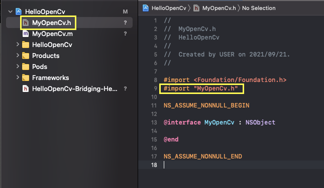 [IOS] Swift 에서 OpenCV 사용하기 (OpenCV-4.1.0) (Xcode 12)