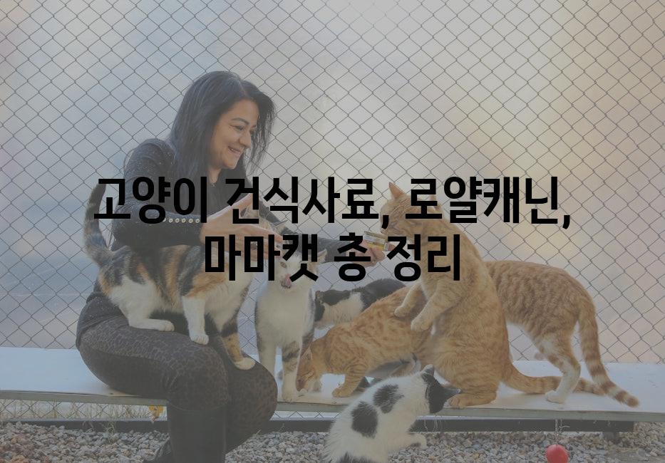 고양이 건식사료, 로얄캐닌, 마마캣 총 정리