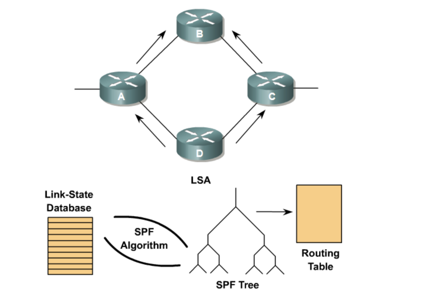 OSPF Protocol (Open Shortest Path First Protocol)