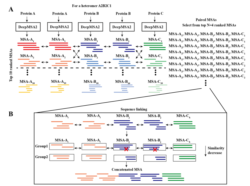 [논문리뷰] Improving deep learning protein monomerand complex structure prediction usingDeepMSA2 ...