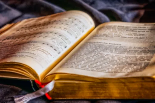 동대문구청 홈페이지 바로가기 민원실 전화번호 https://www.ddm.go.kr/