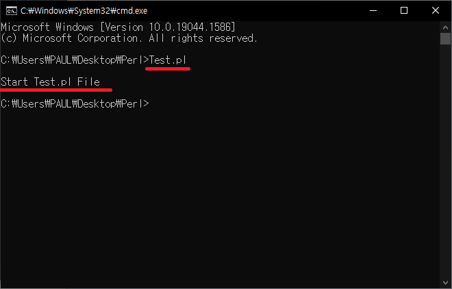 [Perl] print, printf 디버깅