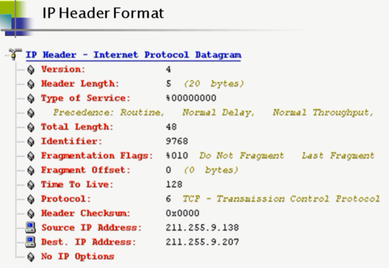 네트워크 계층 Network Layer, IP Header