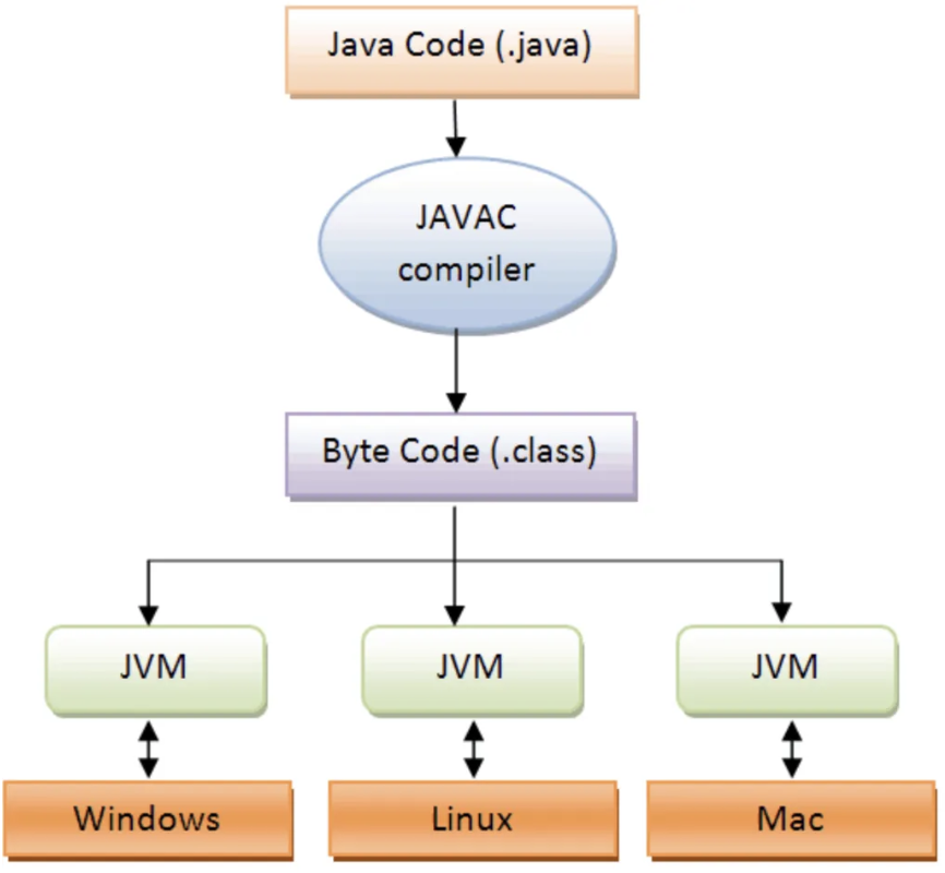 JVM & GC