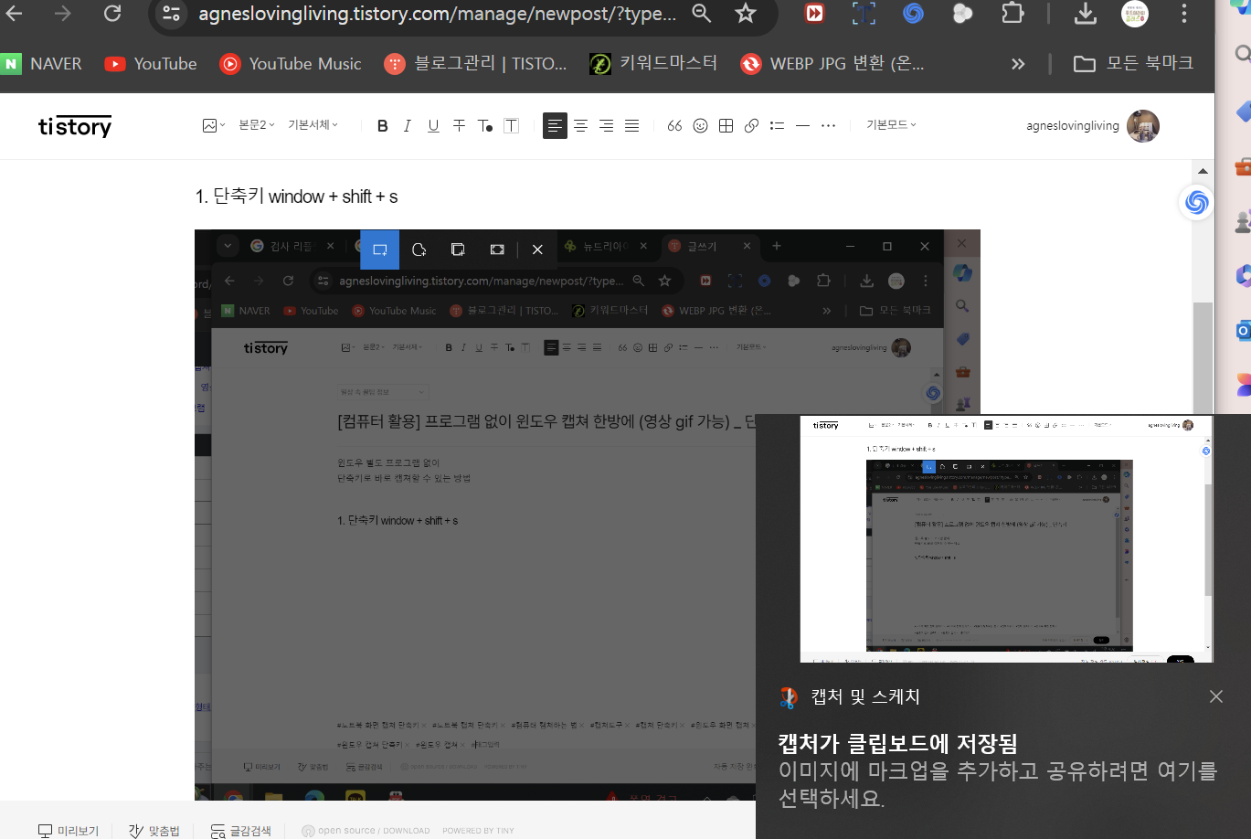 [컴퓨터 활용] 프로그램 없이 윈도우 캡쳐 한방에 (영상 gif 가능) _ 단축키