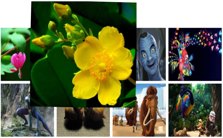 [해피CGI][cgimall] jquery animation effect gallery