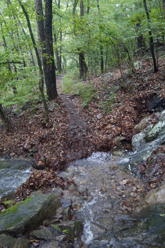 한국 명산 85. 강원 경북 삼척 울진 응봉산 등산 mountain hiking