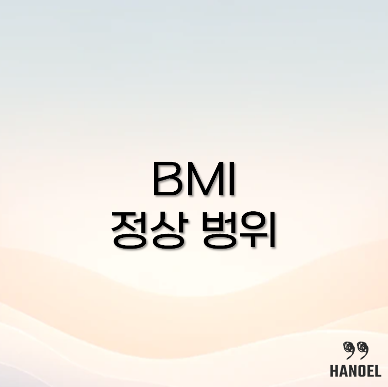 BMI란? BMI 뜻과 BMI 지수, 정상 범위 완벽 정리