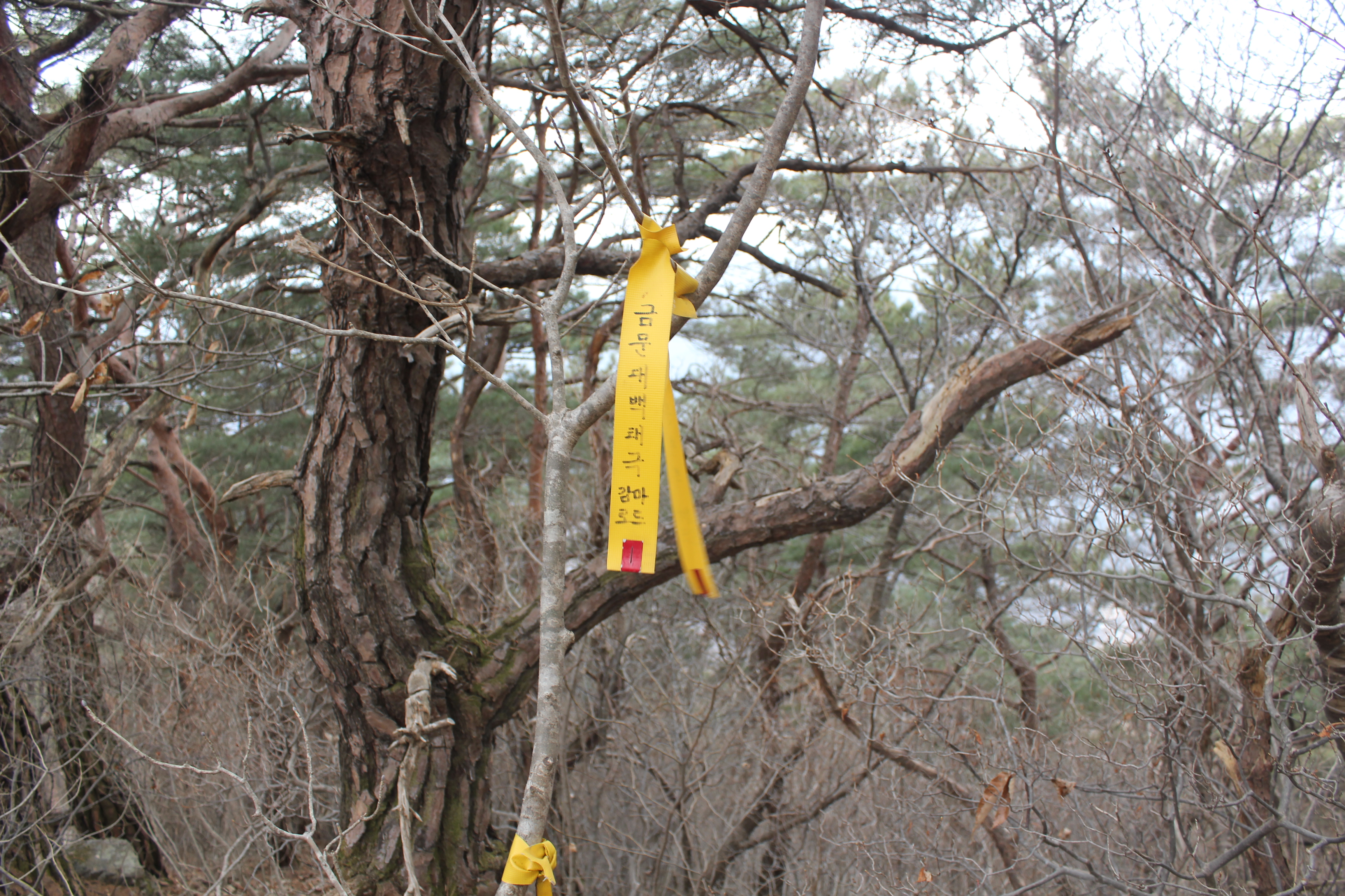 0613 문경 능곡산~성주산~백화산~뇌정산 2012.2.26.일요일 맑음